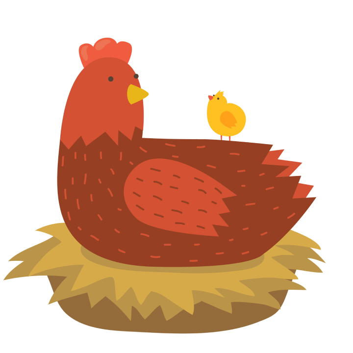 Adopt a Chicken